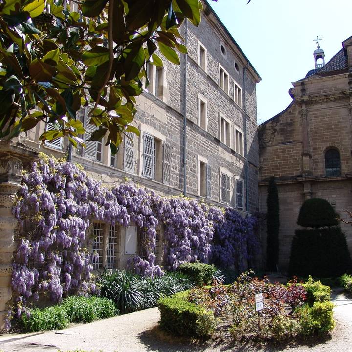 Top 5 ideas for visits in Tournon sur Rhône