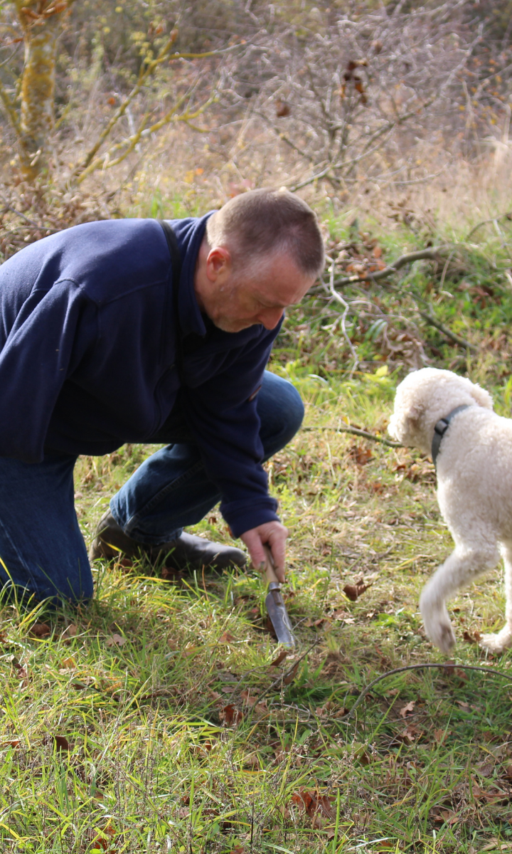 Opening of the black truffle season from Drôme des Collines