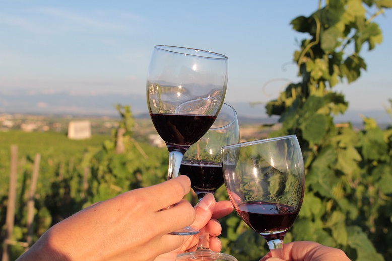 Vineyard aperitifs at Domaine Pradelle